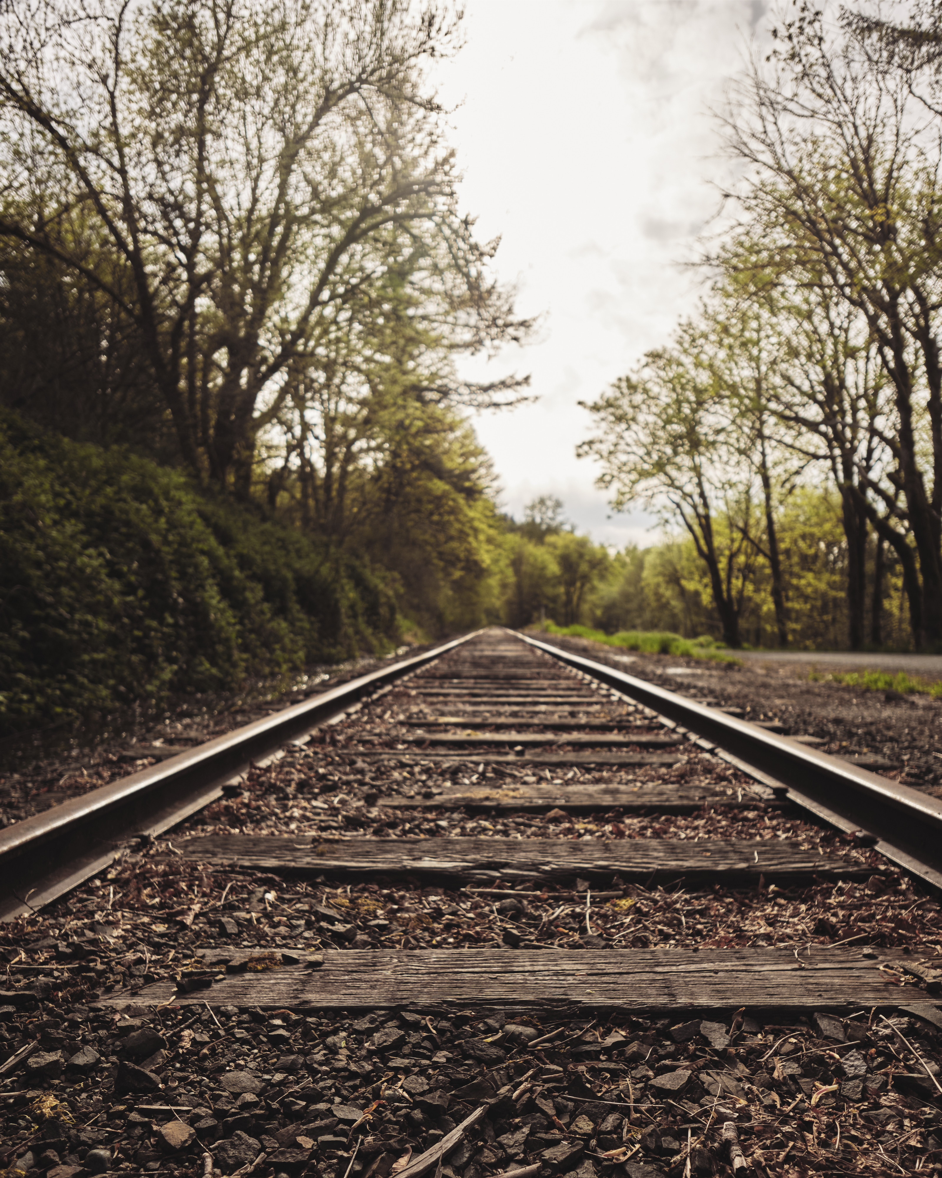 Chelatchie Prairie Railroad - Matchneedle